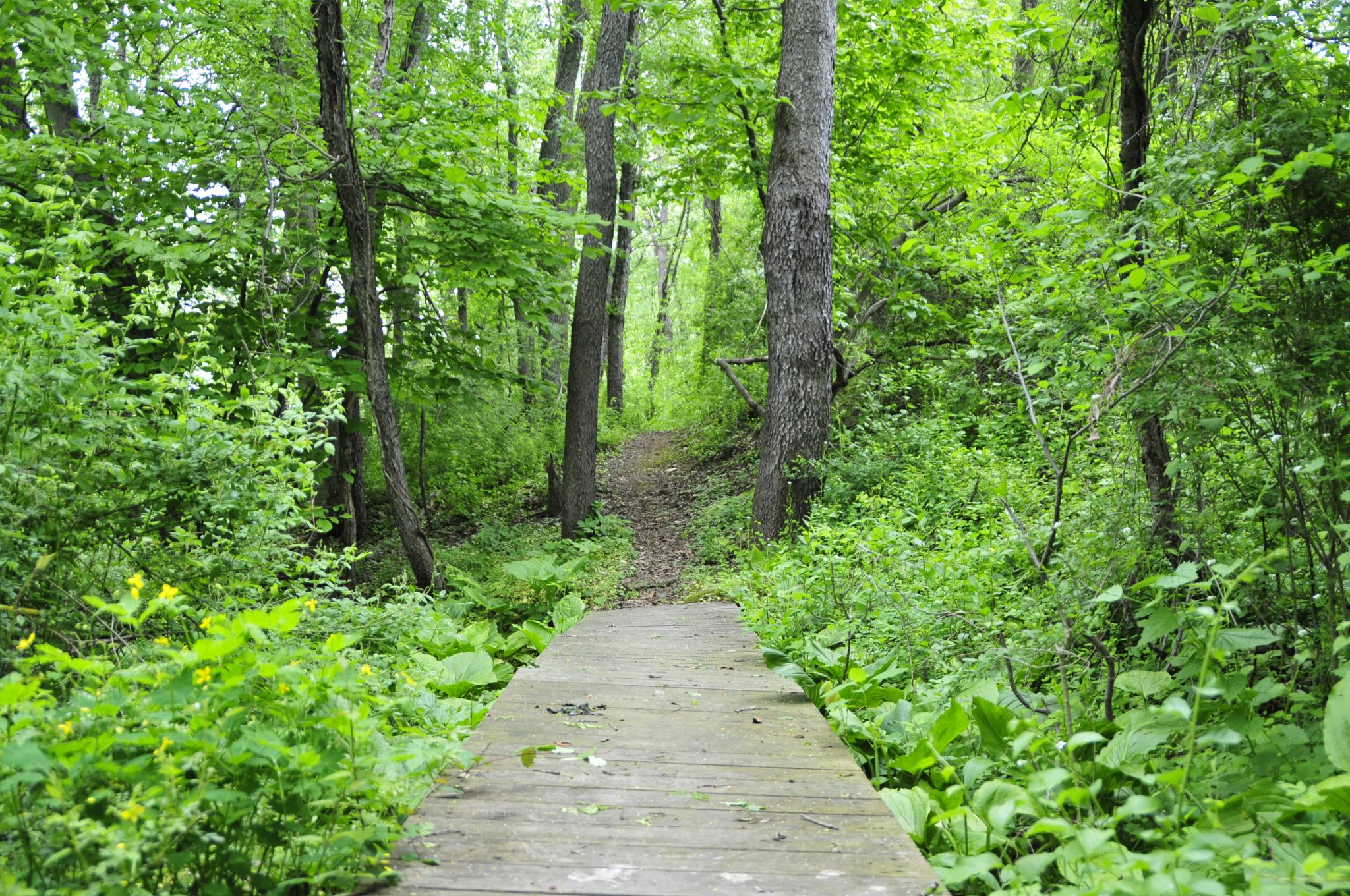 Honey Hollow Nature Center | a chapter of the National Audubon Society